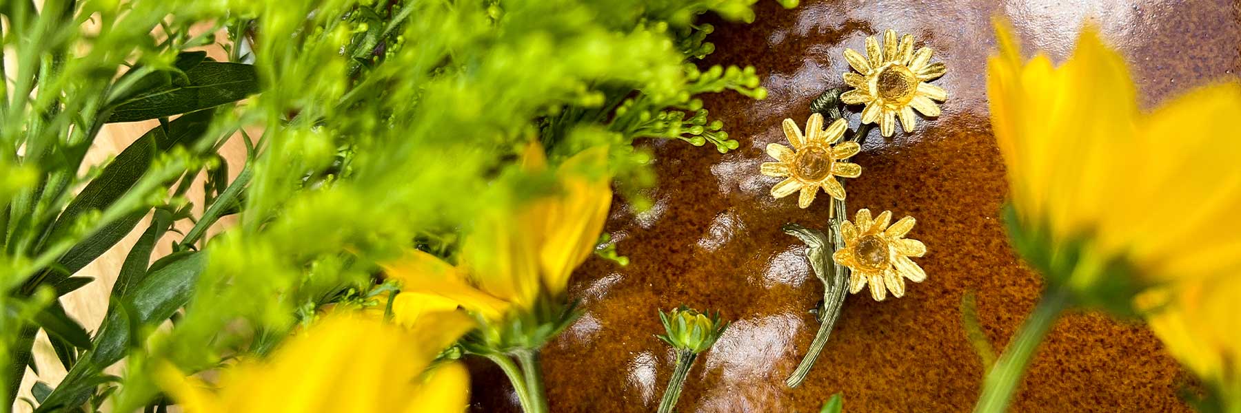Golden Butter Daisy – Michael Michaud US