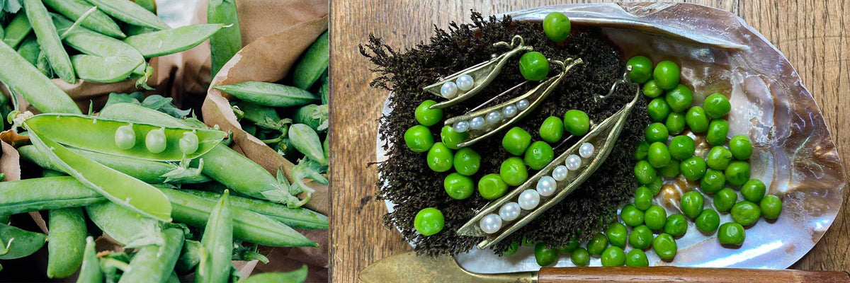 Peapod – Michael Michaud US