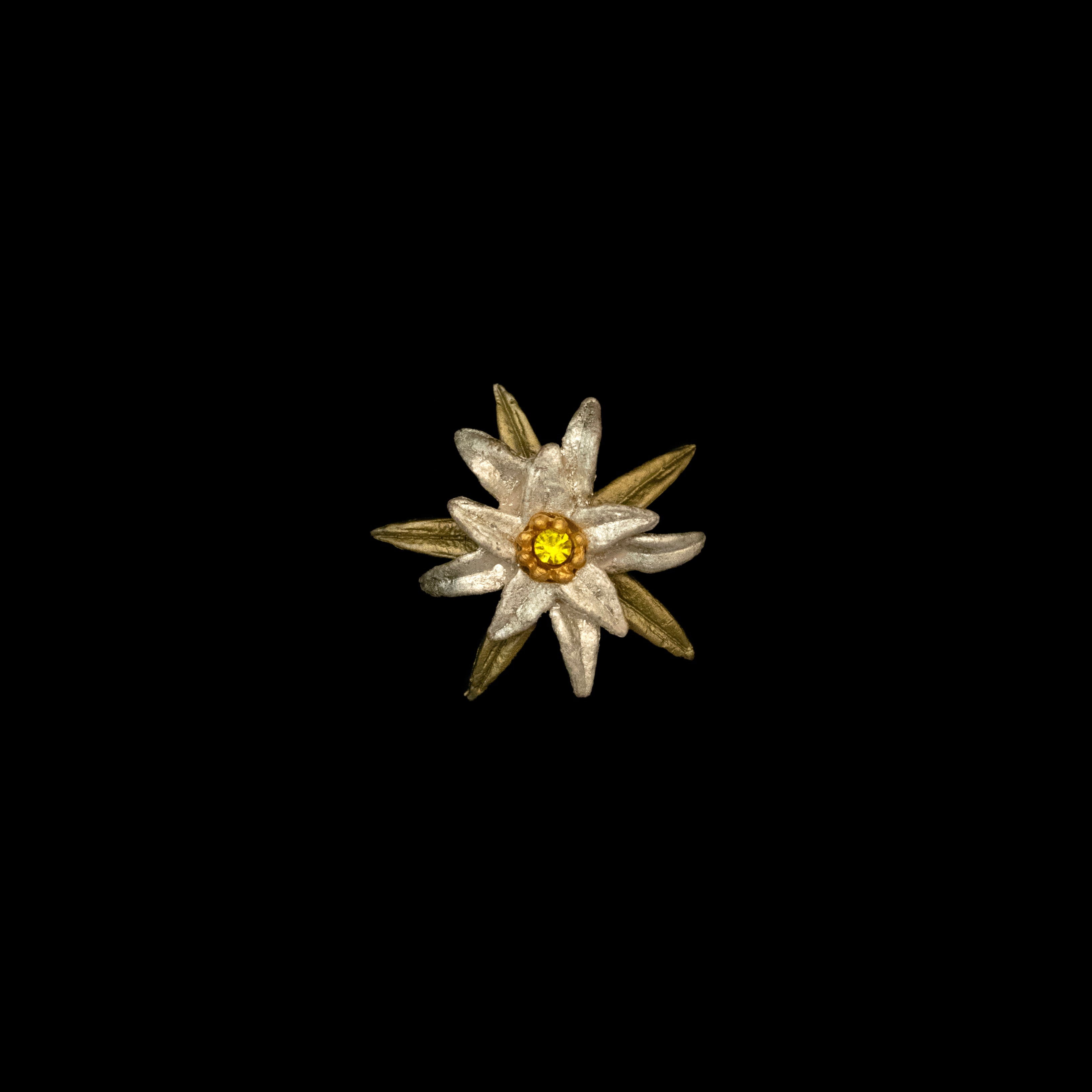 Edelweiss 60th Anniversary Commemorative Lapel Pin – Michael Michaud US