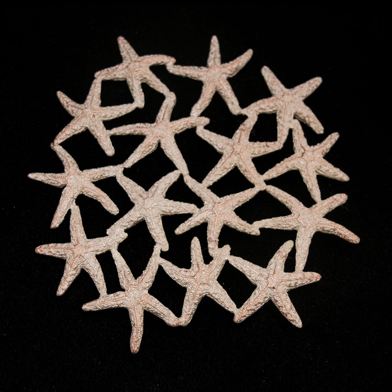 Starfish Trivet – Michael Michaud US