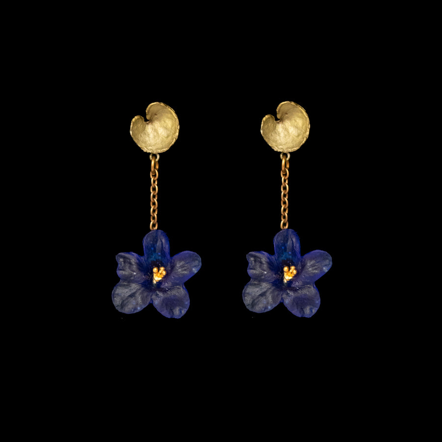 Wild Violet – Michael Michaud US