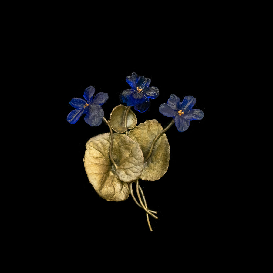 Wild Violet – Michael Michaud US