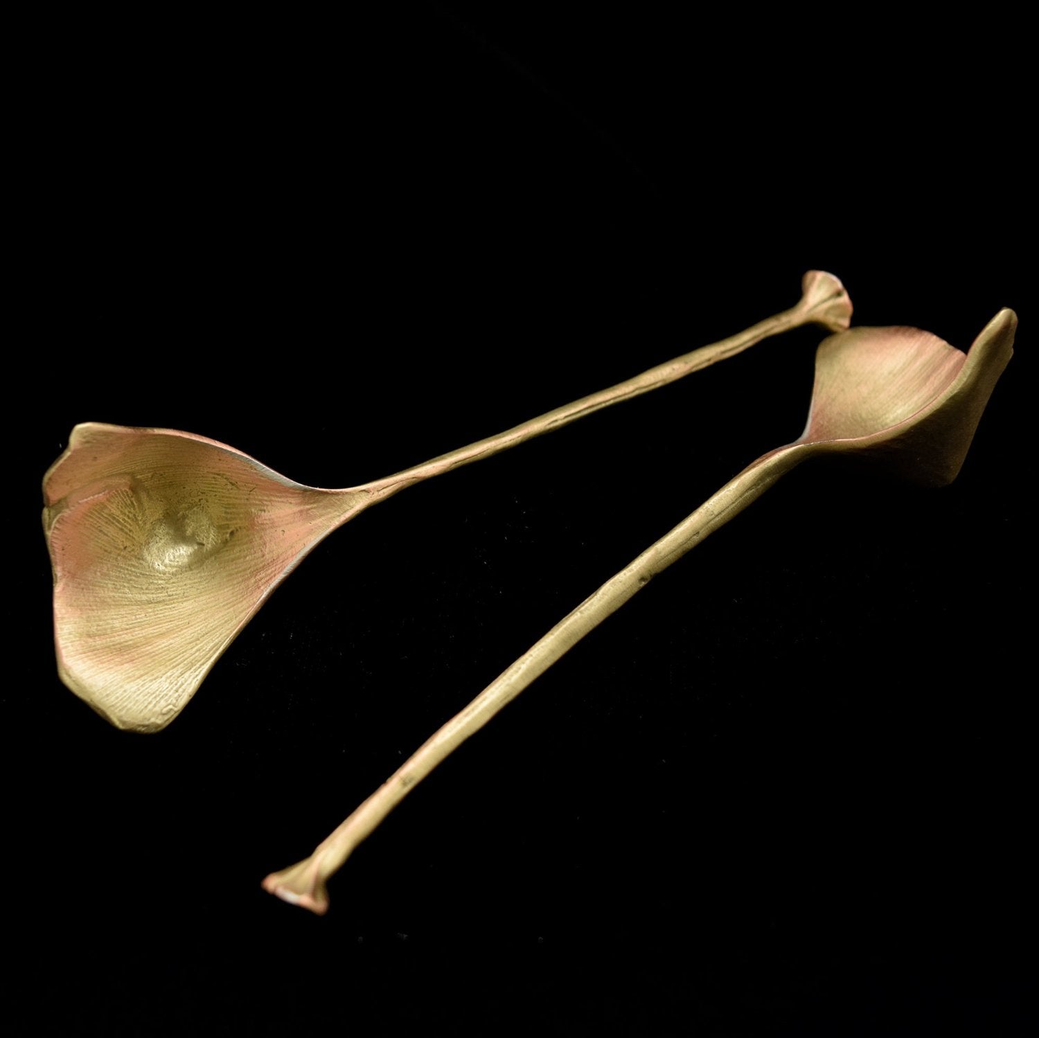 Ginkgo Spoons - Bronze – Michael Michaud US